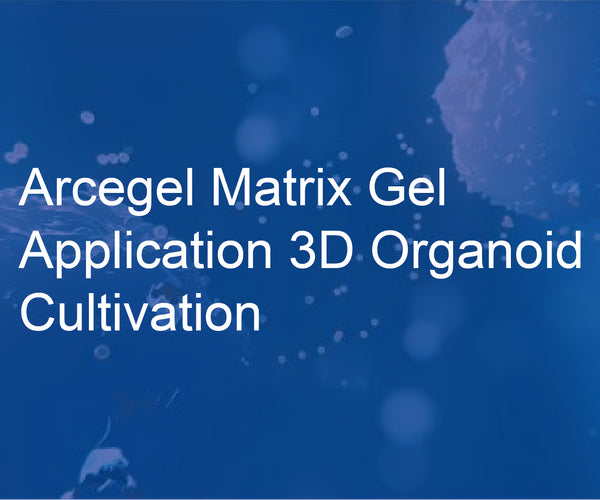 Arcegel Matrix Gel Application - 3D Organoid Cultivation – Arcegen