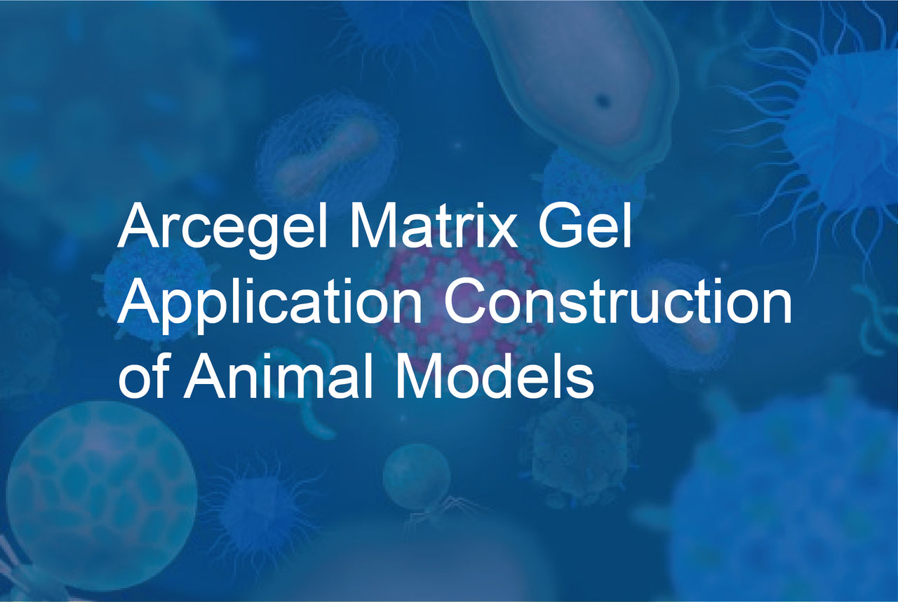 Arcegel Matrix Gel Application - Construction of Animal Models – Arcegen
