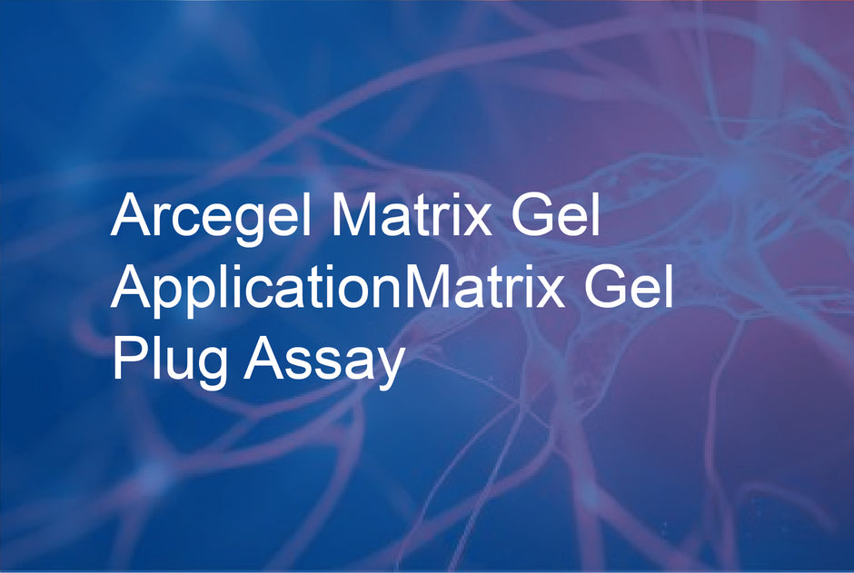 Arcegel Matrix Gel Application - Matrix Gel Plug Assay – Arcegen