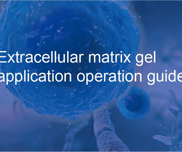 Extracellular matrix gel application operation guide – Arcegen