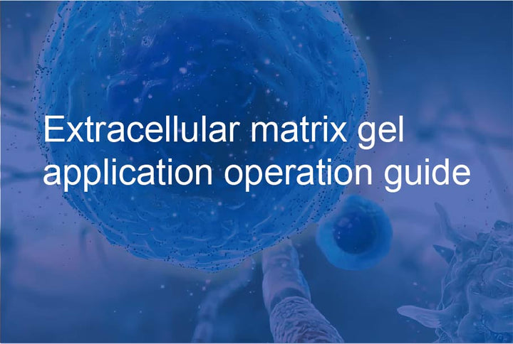 Extracellular matrix gel application operation guide – Arcegen