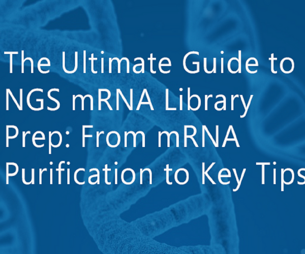 The Ultimate Guide to NGS mRNA Library Prep: From mRNA Purification to ...